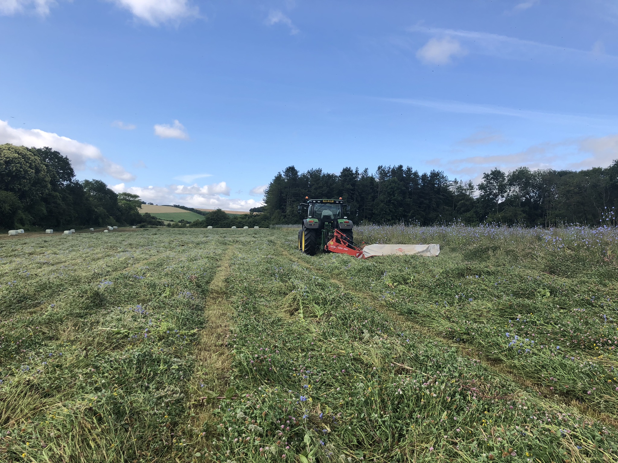 Hay Cut - Old Rectory Farms